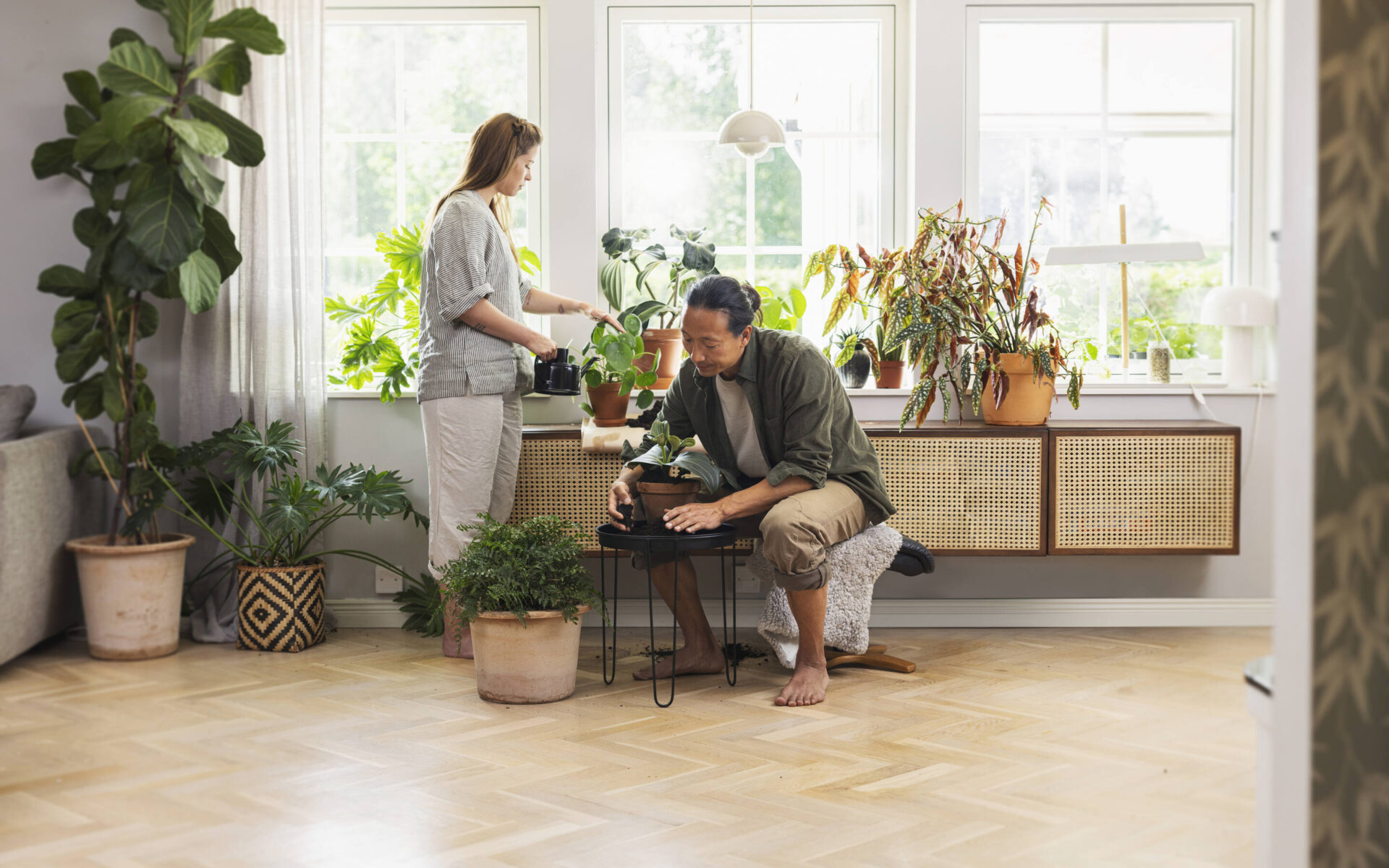 Toataimede ümberistutamine - Kekkilä.ee